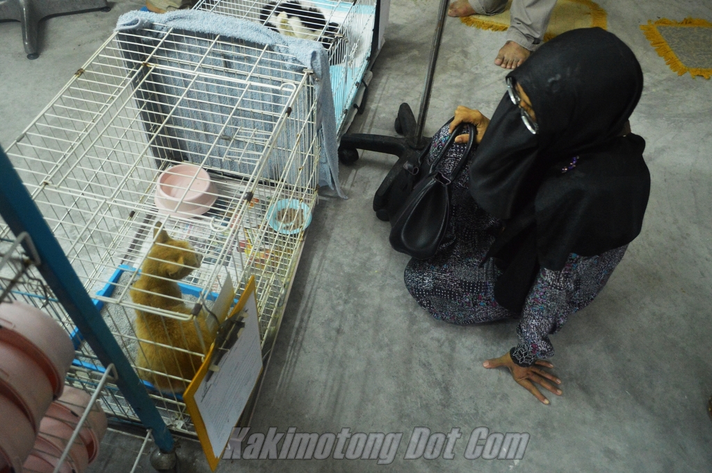 Kisah Si Jamek, Seekor Kucing Malang Yang Telah Didera Sehingga Patah ...