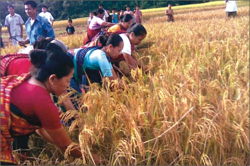 Glimpses of India with Koyeli: Festivals of India in the month of December