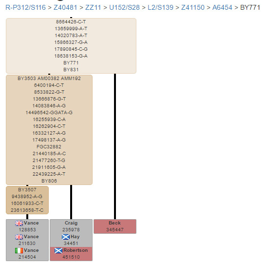 Vance History Online: Update on Vance DNA Group 8