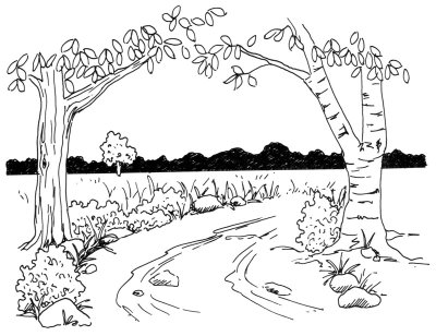 Cartoon Pictures: How to Draw a Rural Lane in 5 Steps