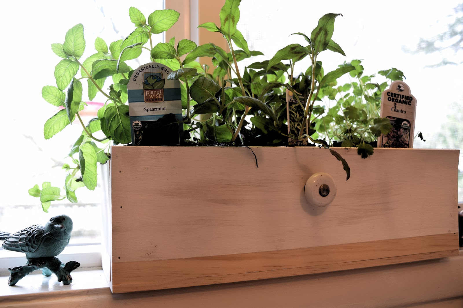 Simply Lora's Beauty: How Can It Get Any BETTER!?