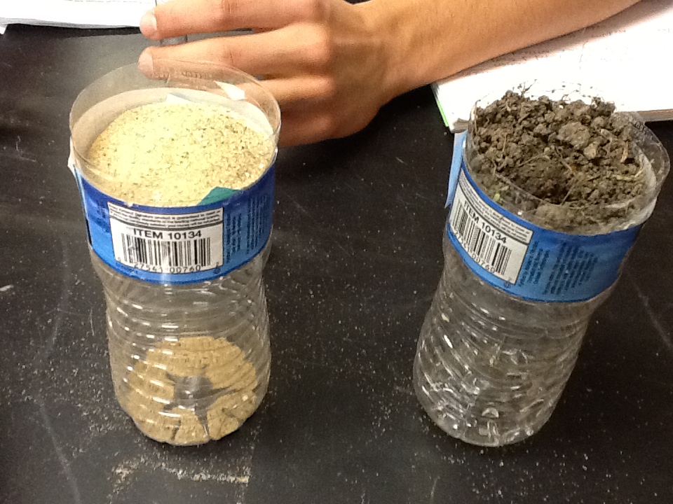 soil lab: Berlese Funnel