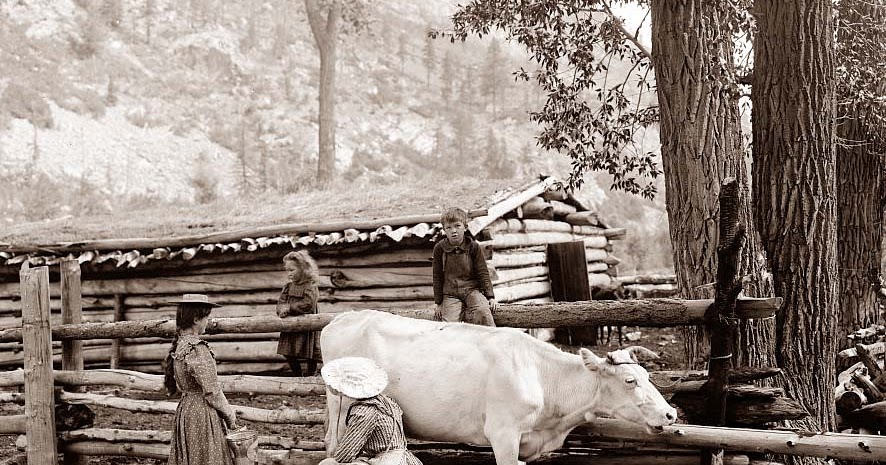 Environment, Law, and History: Animal colonialism