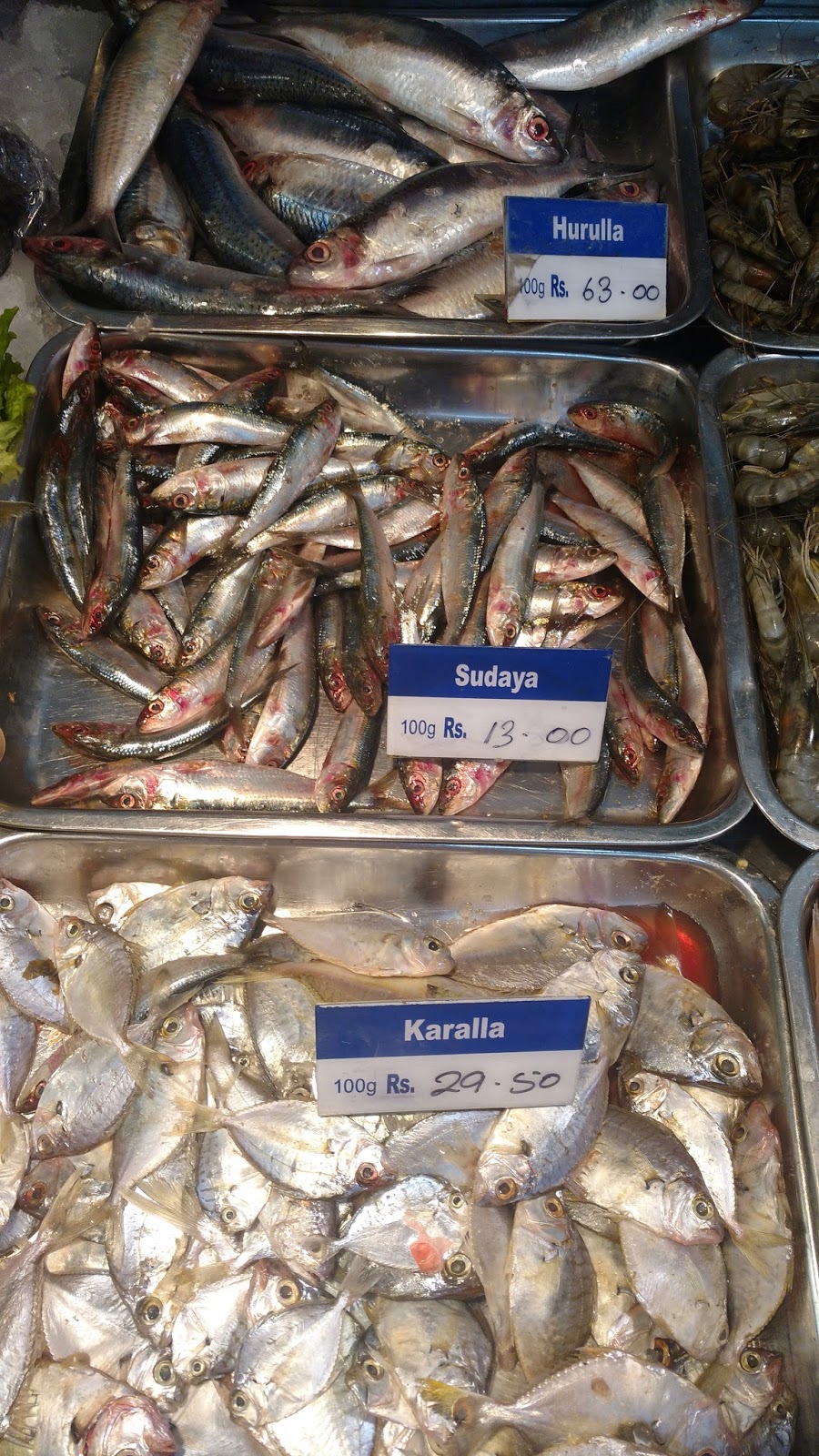 euphoRHEA: The Supermarket Experience - The Sri Lanka Chronicles