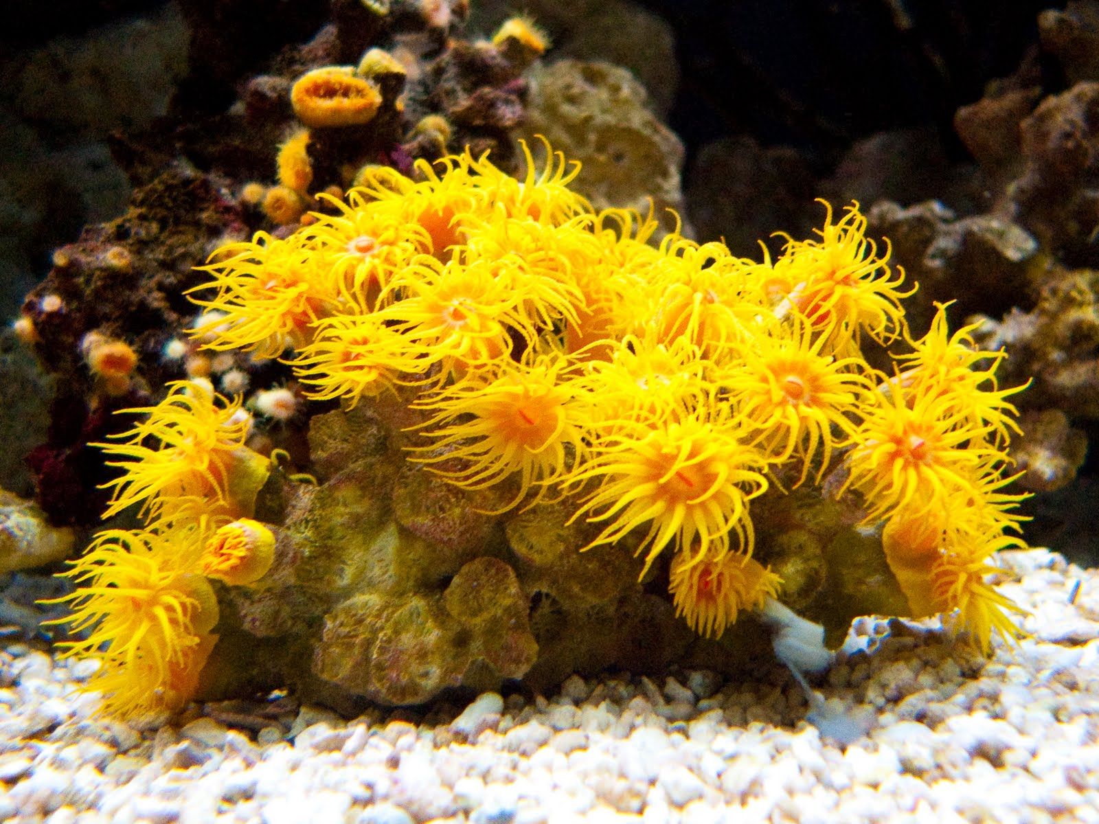 inkspired musings: National 'Hot Enough For Ya?' Day