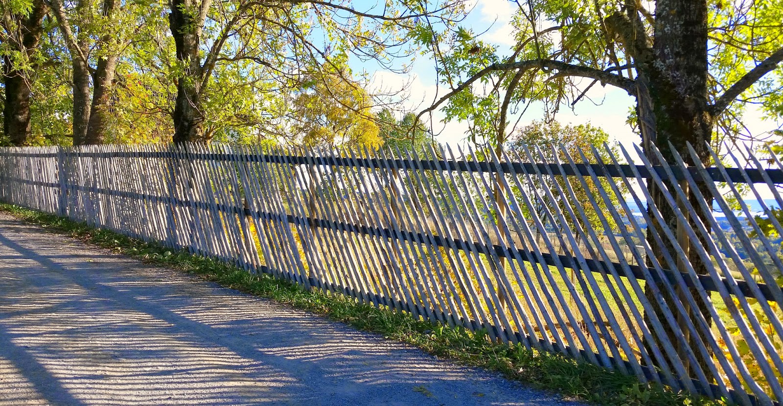 m o p p e g u r i: Staurgjerde