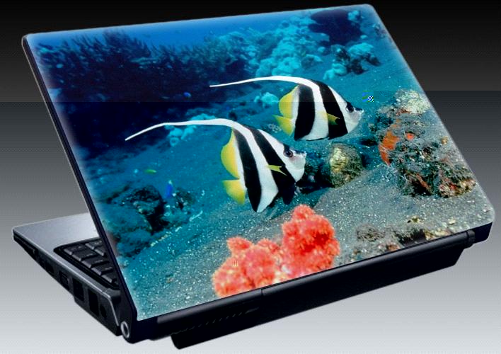 CREATIVE STICKER: skins laptop