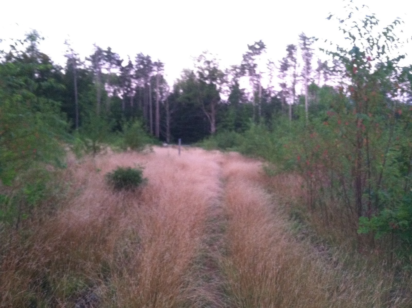 Early Morning Trails: Monoosnoc Trail End to End to End/Traverse ...