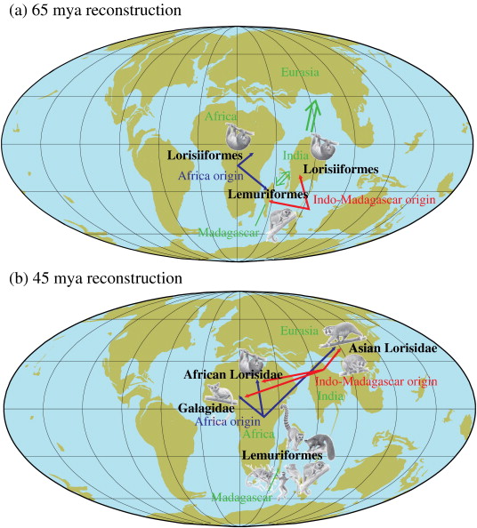 Evolutionary Vertebrate Zoology: Evoluční specialisti na planetě ...