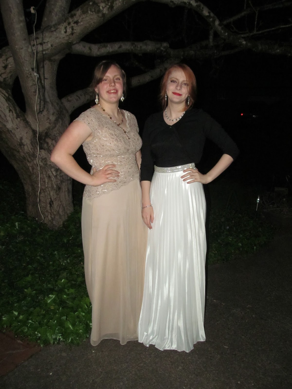 The Alan Walker Family: A Journey Through Life: 2016