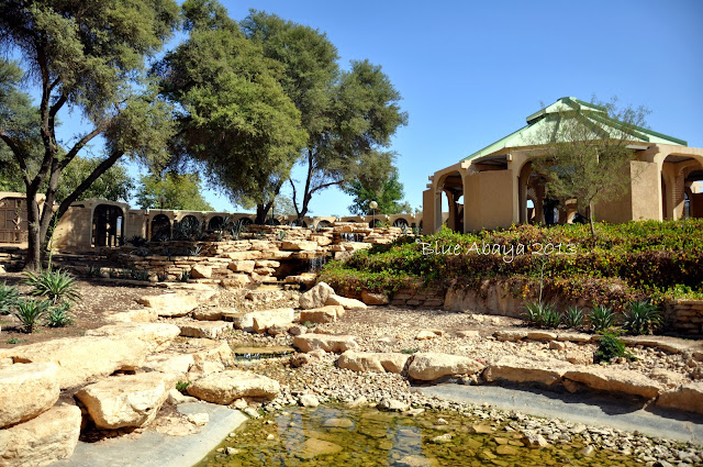 Riyadh's Hidden Gems-The Diplomatic Quarter Gardens - Blue Abaya