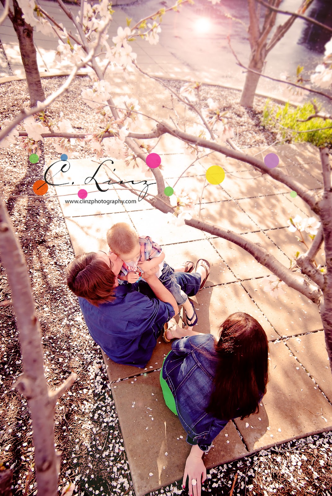 C. Linz Photography: Choo, Choo, {TOOT} Toot / St. Louis Family ...