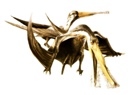 DINOMUNDY: especies de dinossauros continuação 2