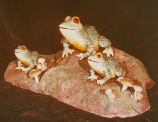 Passport to Dreams Old & New: The Year of the Frog