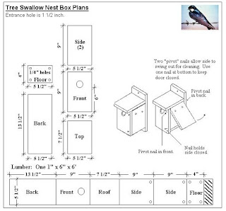 Friends of Sam Smith Park: HOW TO MAKE A SWALLOW NESTING BOX
