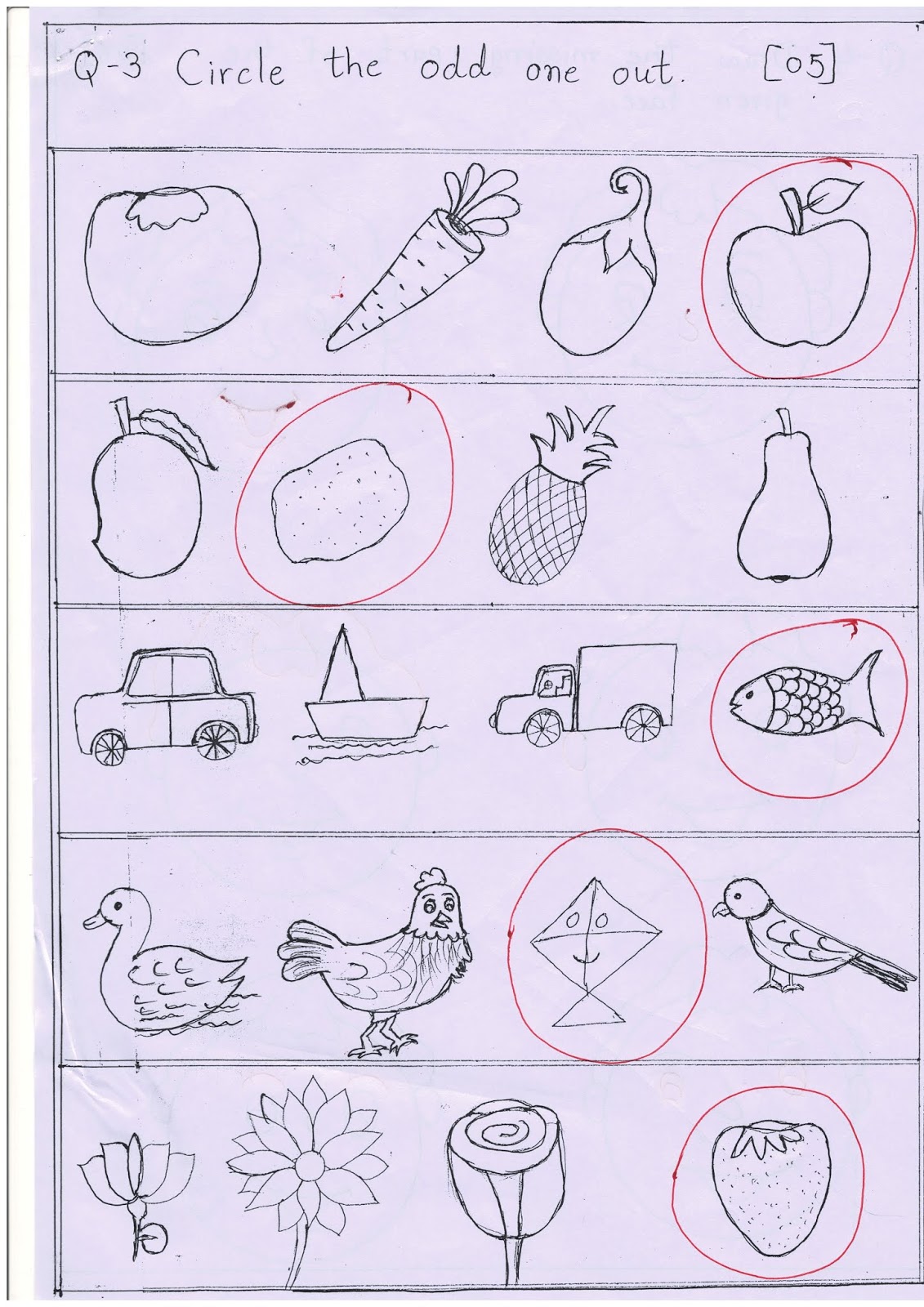 Nursery Final Exam paper G.K