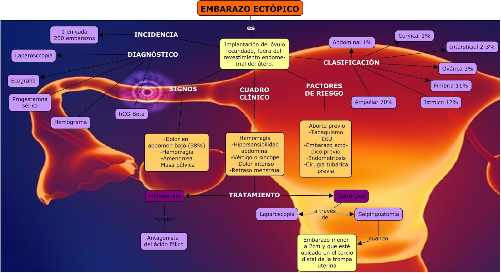 Ginecología y Obstetricia 2016 por Carmen Elena Chavez G. : Embarazo ...