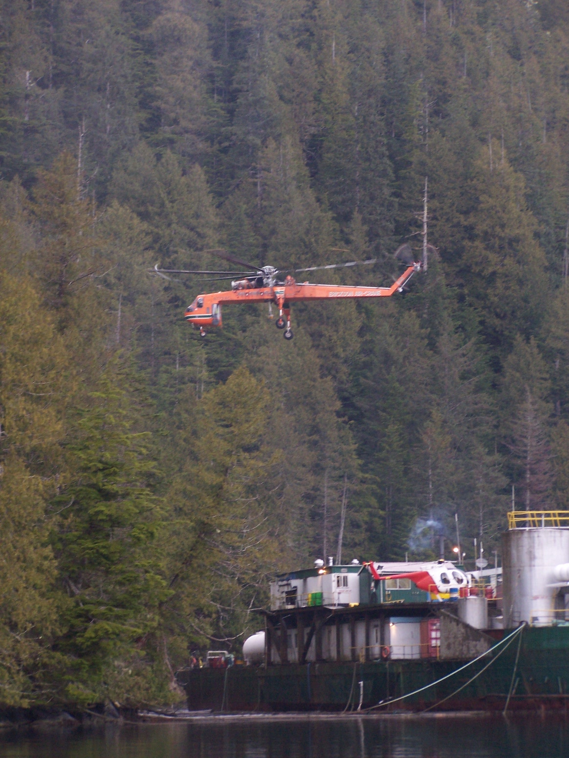 life on the inlet: Heli logging
