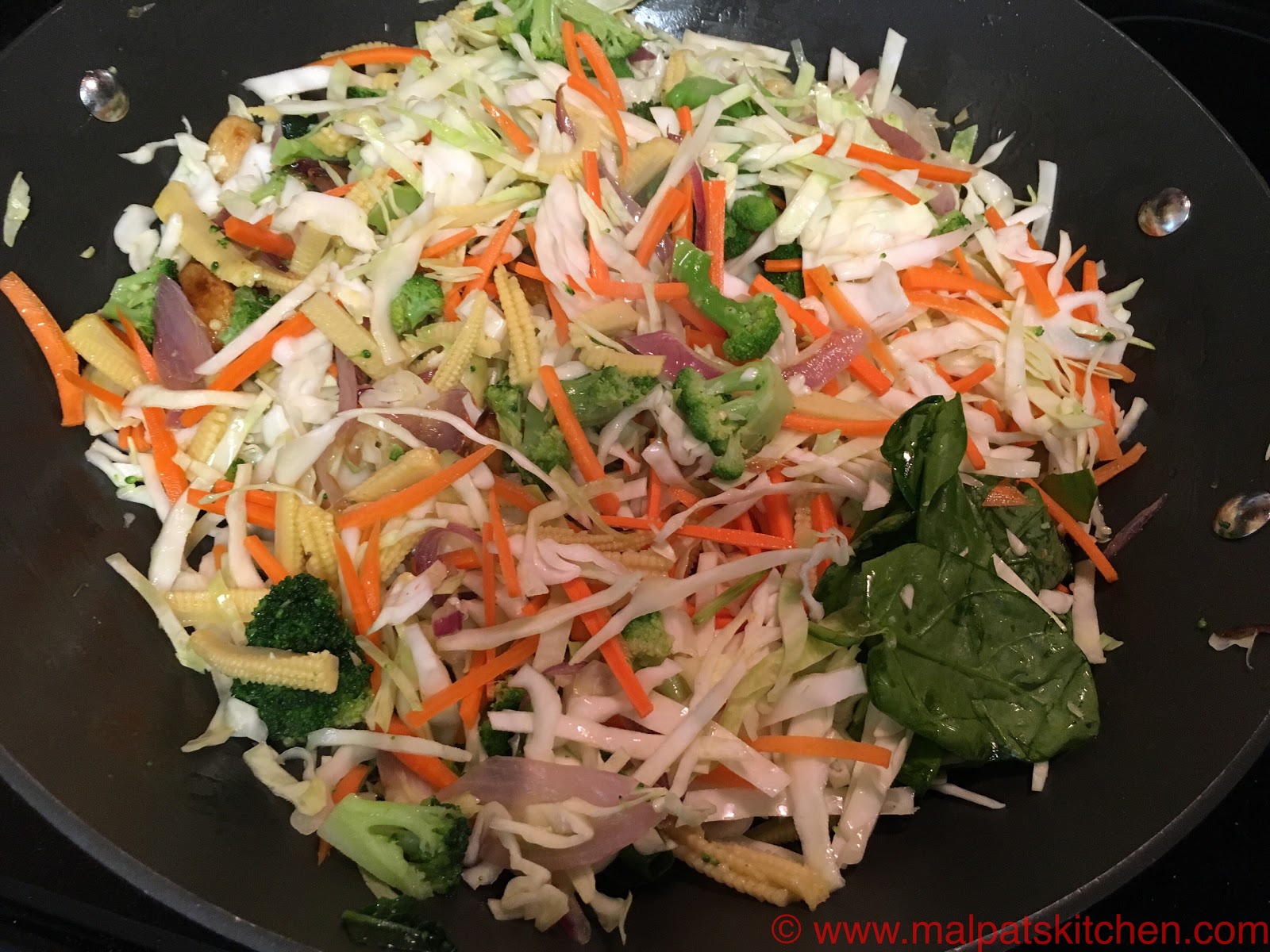 BURNT GARLIC VEG FRIED RICE ~ Malpats Kitchen