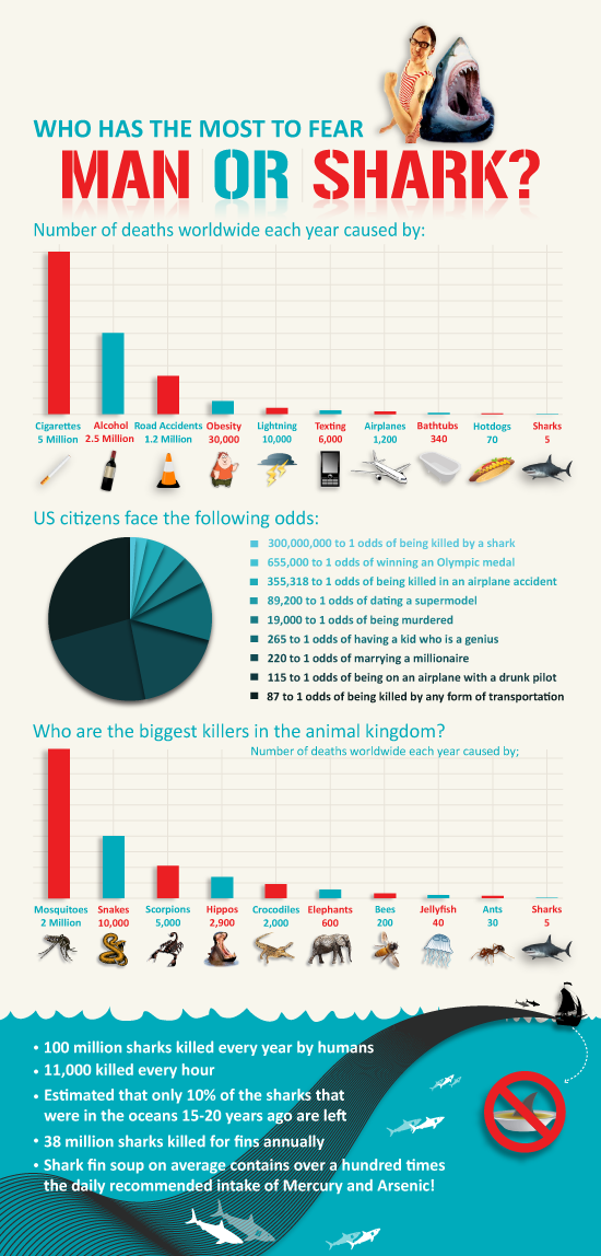 jdx7071.blogspot.com: Who has the most to fear, Man or Shark?