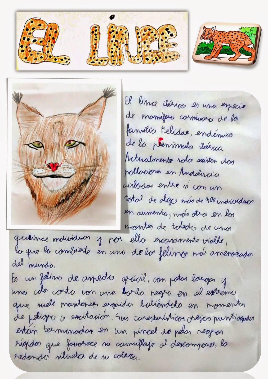 CEIP SIERRA ARANA: EL LINCE IBÉRICO Y EL BURRO