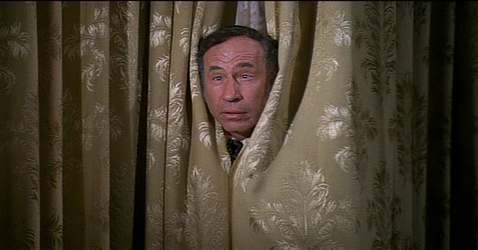 American Film Comedy: Biography: Mel Brooks