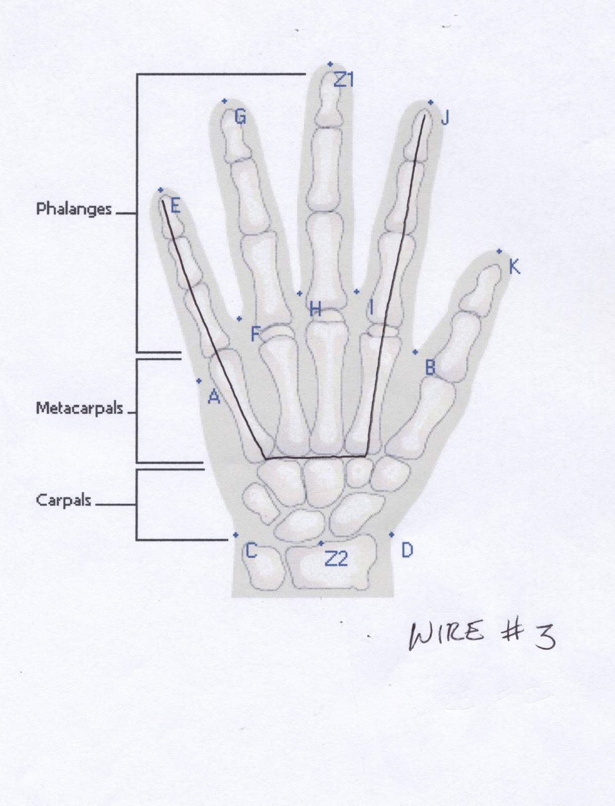 Prop-Rageous: Skeleton Hands