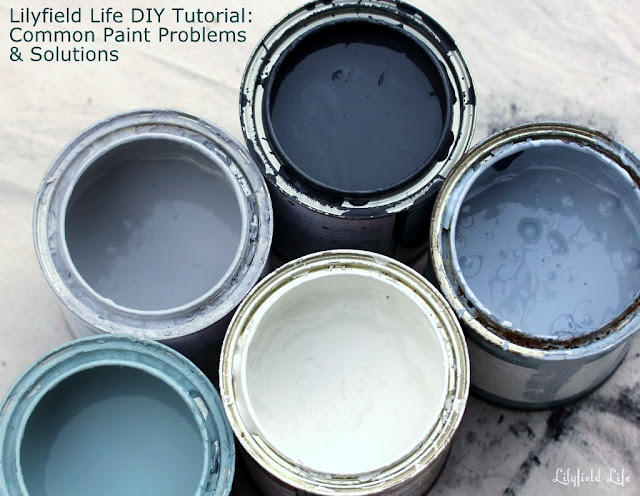 Lilyfield Life: Solving Paint Problems
