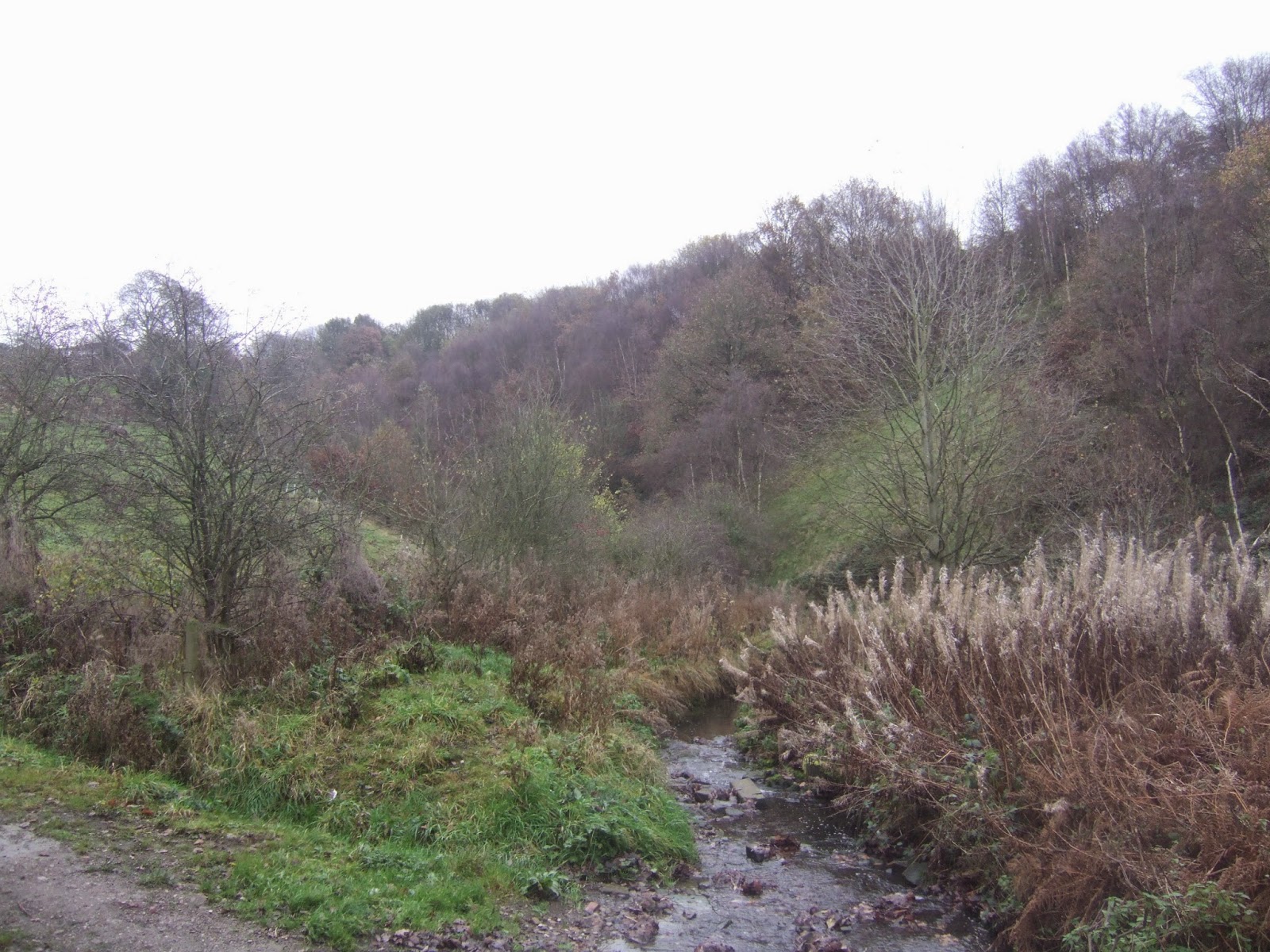 1,000 Miles before I'm 40: The Last Act: Bradford to Leeds 11/11/14