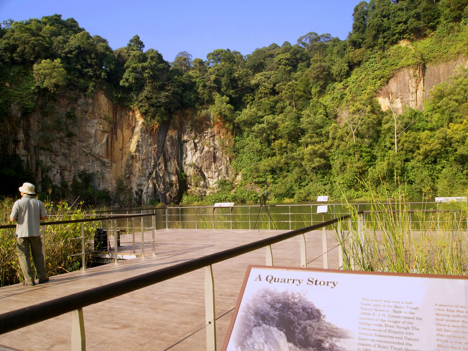 Princess Elizabeth Estate, Hillview: The Singapore Quarry and the Chia ...
