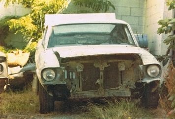 "Tall" Ted Farr : 1968 Mustang 2 + 2 Fastback - Bush Halpenny