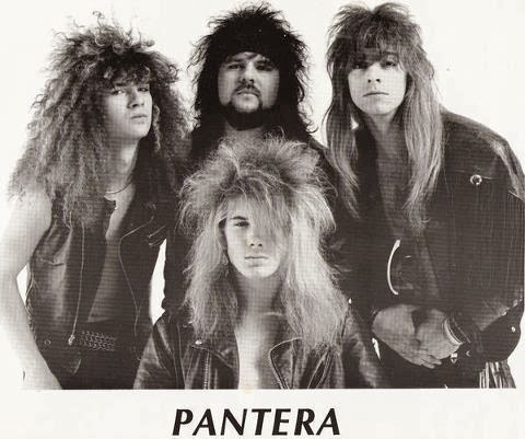 PANTERA(banda): Formacion De La Banda
