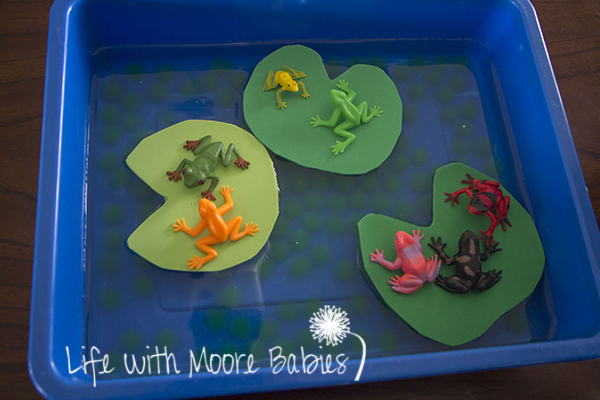Frog Themed Sensory Bin for a Hopping Good Time - Life with Moore Babies