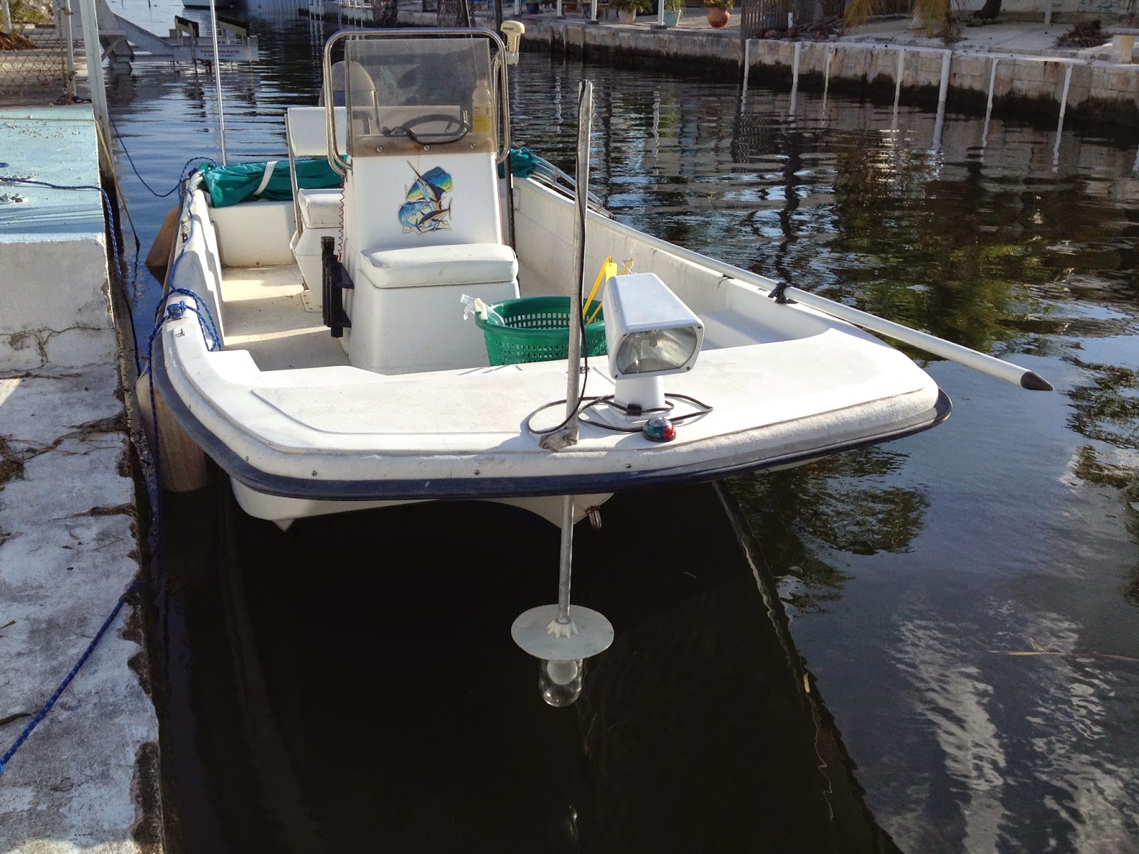 Lezlie's World: BULLY NETTING on the NEW SKIFF