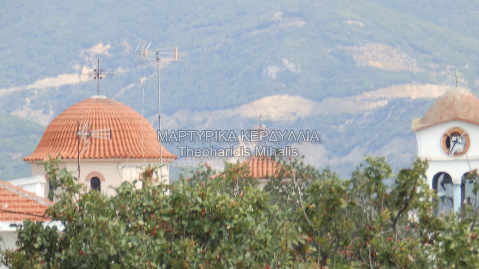 ΔΗΜΟΤΙΚΟ - ΝΗΠΙΑΓΩΓΕΙΟ ΜΑΡΤΥΡΙΚΩΝ ΚΕΡΔΥΛΛΙΩΝ ΣΕΡΡΩΝ