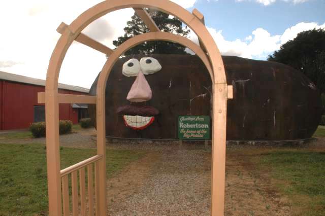 The Nature of Robertson: Mr Potato Head is back in Robbo