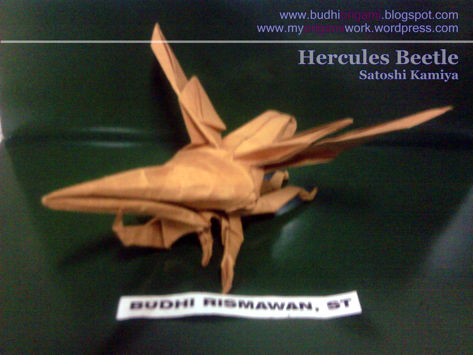 Myorigamiwork Hercules Beetle Satoshi Kamiya