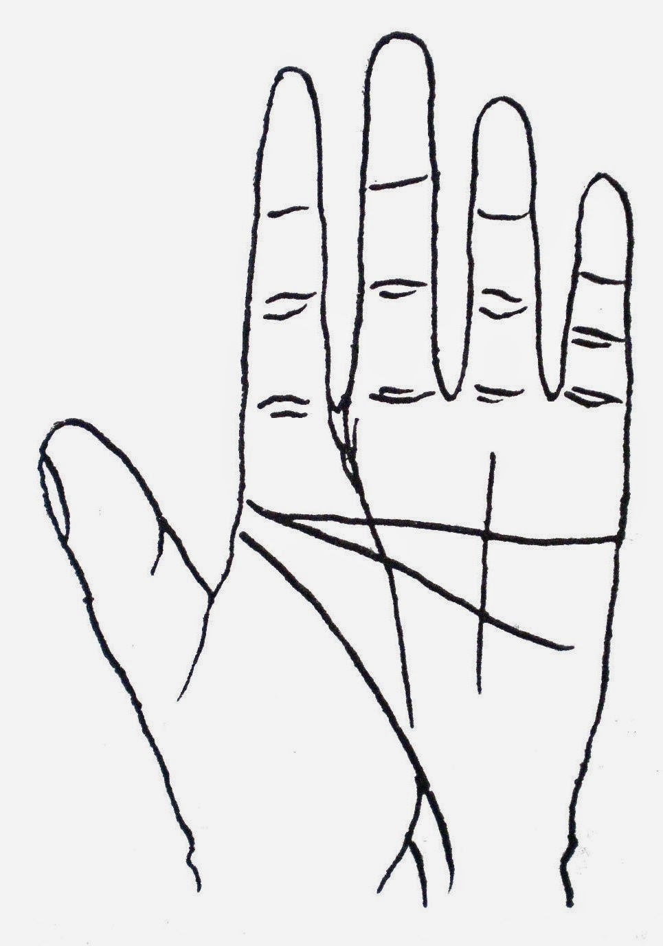 Hand Prediction ทำนายลายมือ: เส้นสมองลักษณะต่างๆ(5)