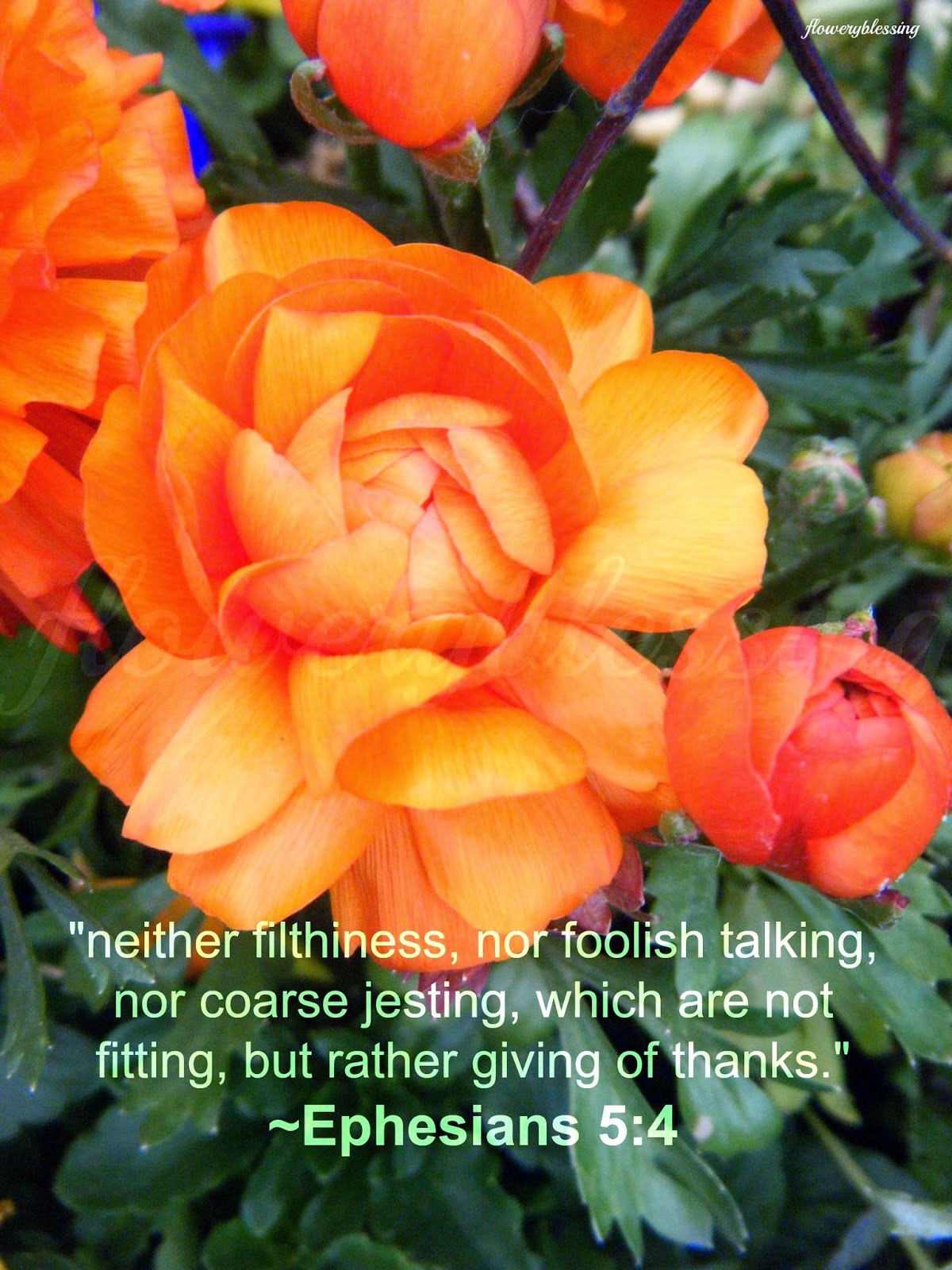 Flowery Blessing: "neither filthiness, nor foolish talking, nor coarse ...