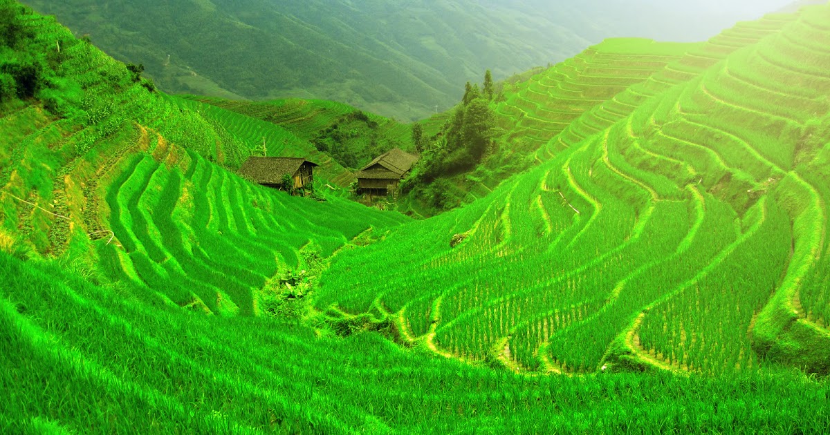 50+ Gambar Hd Pemandangan Indah