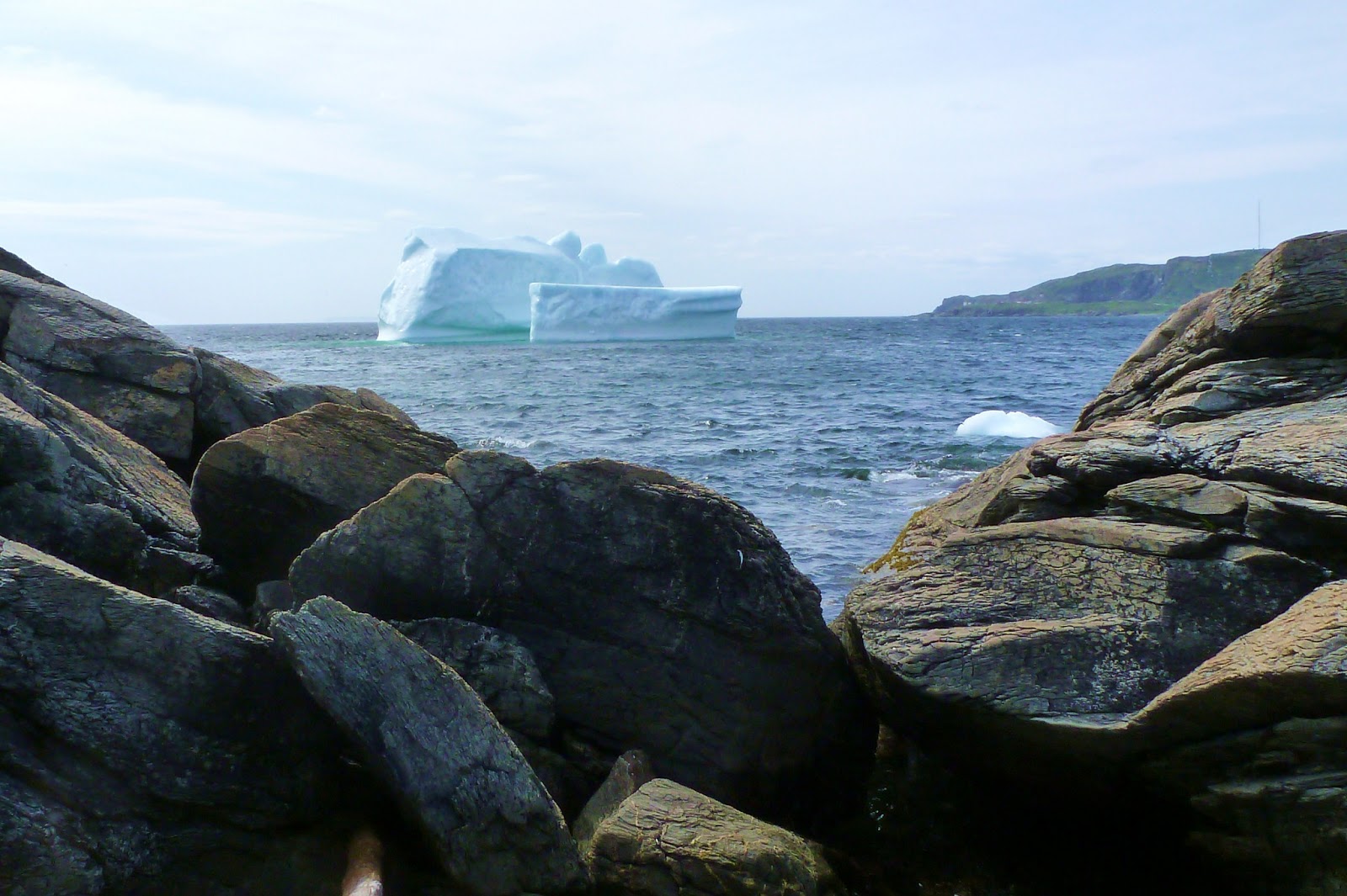 CapeBreton-NorvellHimself-SingleMalt: Iceberg Spotting, St. Carols ...