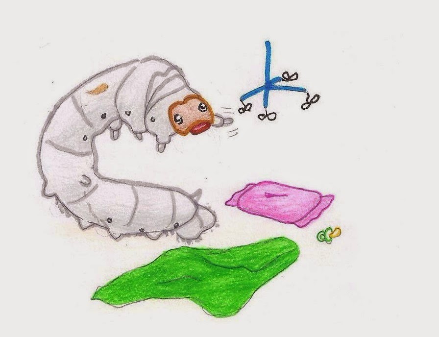 Grão de Bico : Larry, o Bicho da Seda