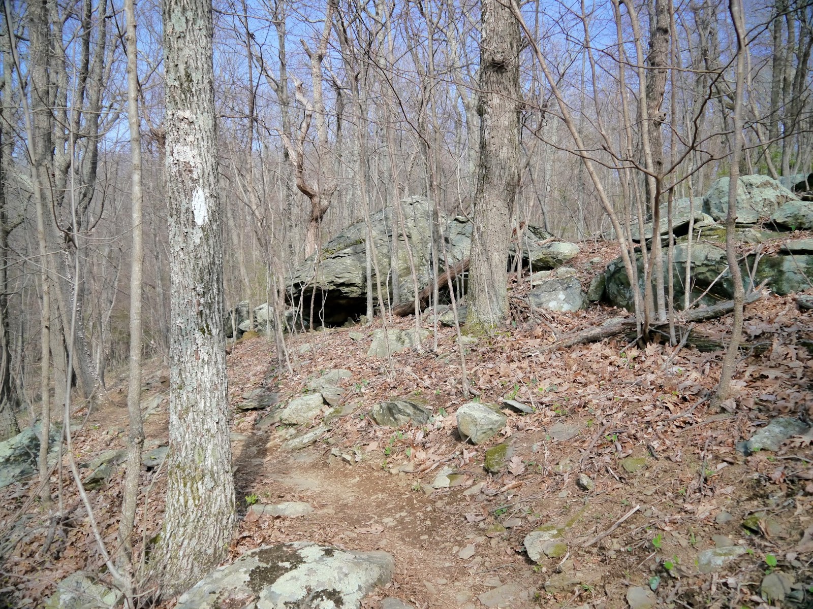 American Travel Journal: Rockfish Gap to McCormick Gap - Appalachian ...