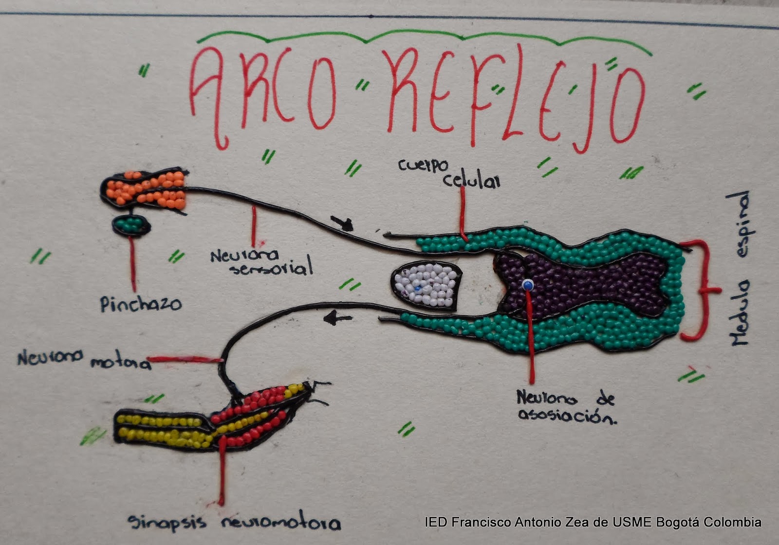 IDEAS PARA MI MUNDO: Arco reflejo.