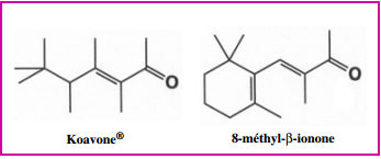Comment le goût est-il influencé par l'odorat et la vue