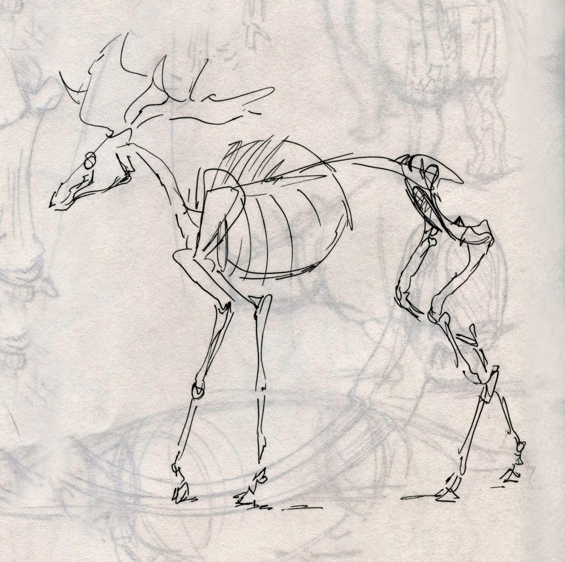 Geoff's Doodles: Joe Weatherly Animal Drawing Workshop - London