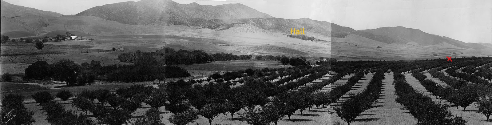 Leona Valley Ranch: Panorama of Valley 1927