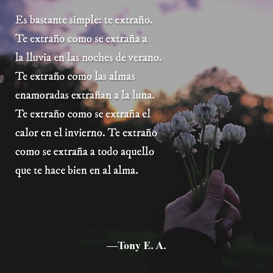 TE EXTRAÑO | Tony E. A.