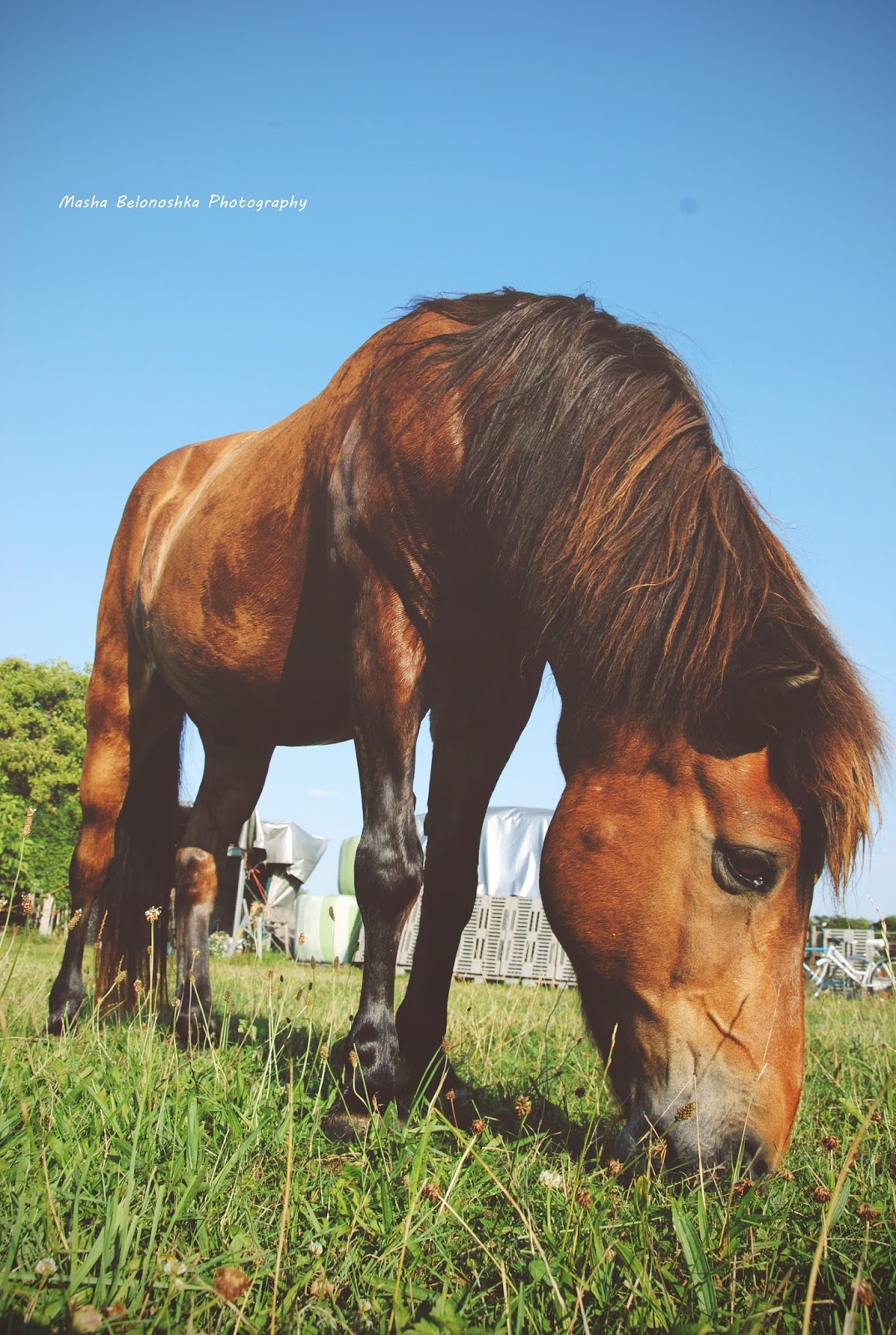 Masha Photography: Juli 2015