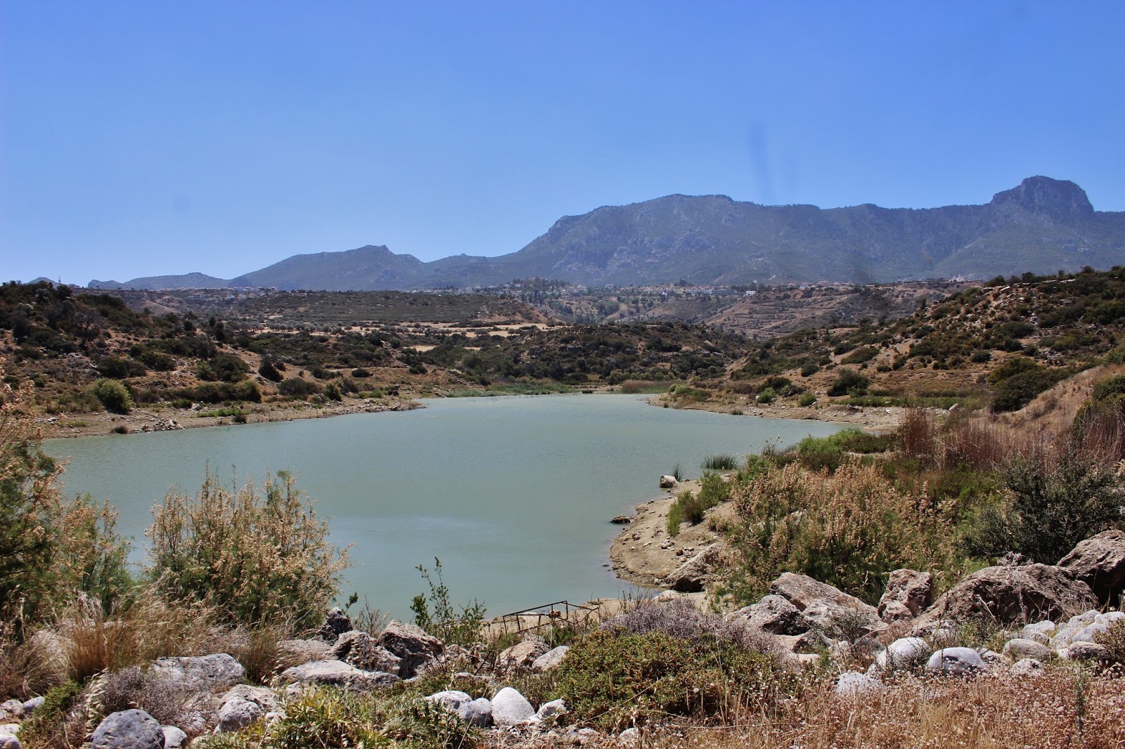 Biodiversity of Cyprus by NGO Protection of the Natural Heritage and ...